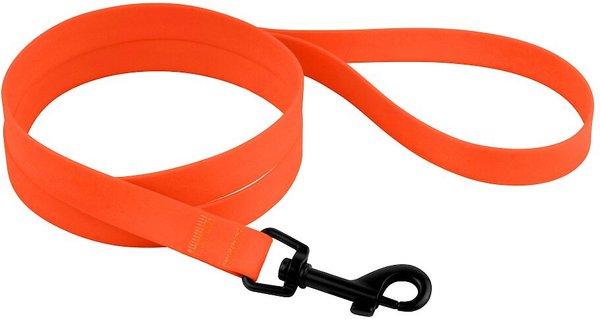 COLLARDIRECT Waterproof PVC Coated Dog Leash, Orange, Large - Chewy.com