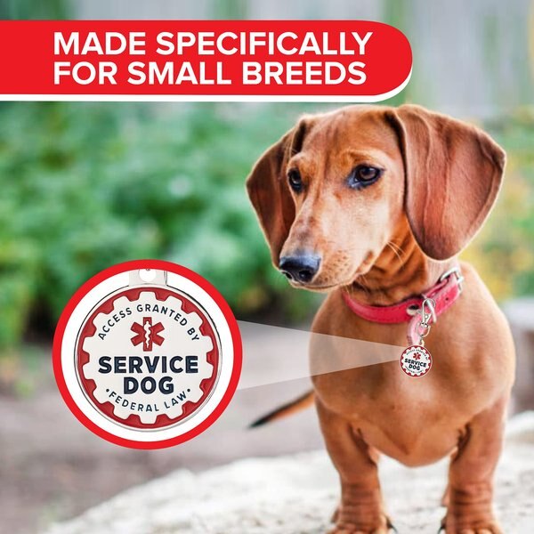 INDUSTRIAL PUPPY Service Dog Tag, 2 count, Small - Chewy.com