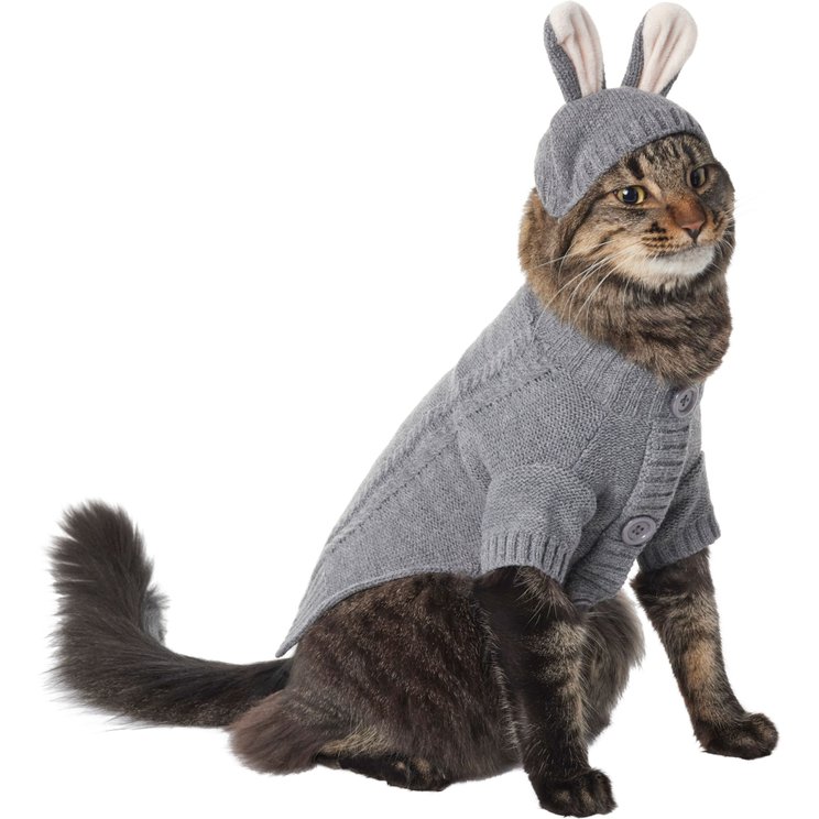 Cat Sweaters: Knit, Wool, Winter & Holiday (Free Shipping) | Chewy