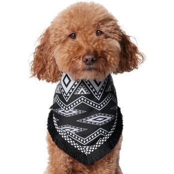 DOG BANDANAS & SCARVES FOR LARGE BREEDS (Free Shipping) | Chewy