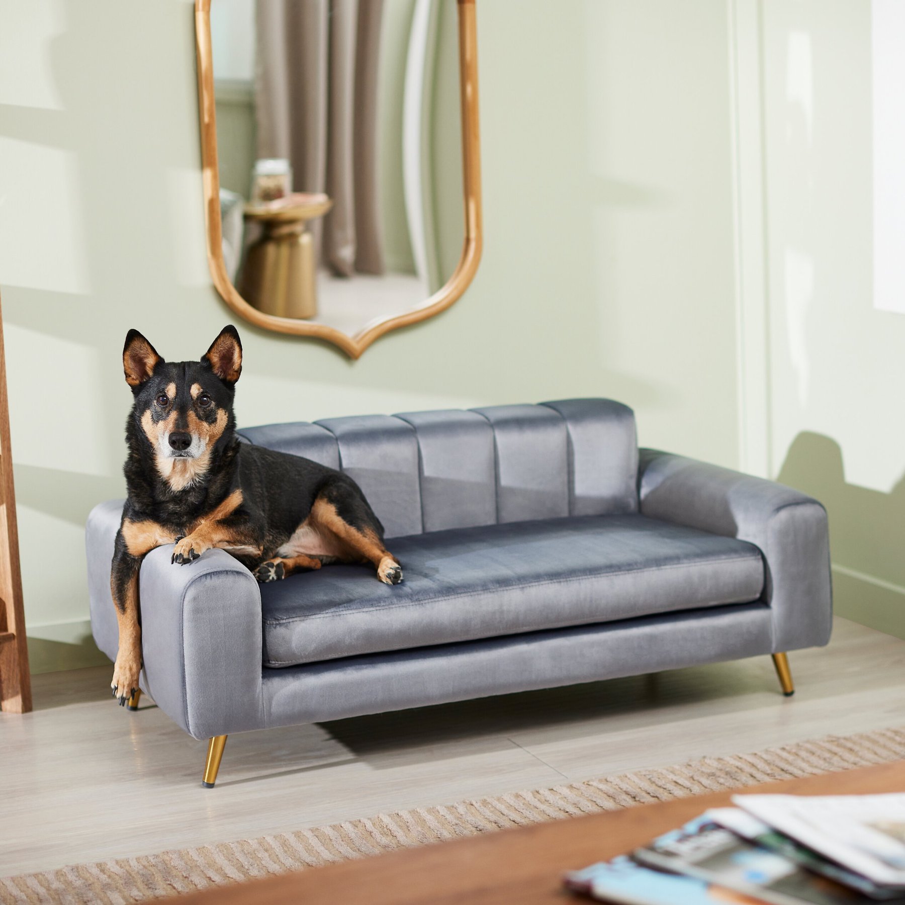 FRISCO Elevated Art Deco Dog & Cat Sofa Bed with Removable Cover, Grey ...
