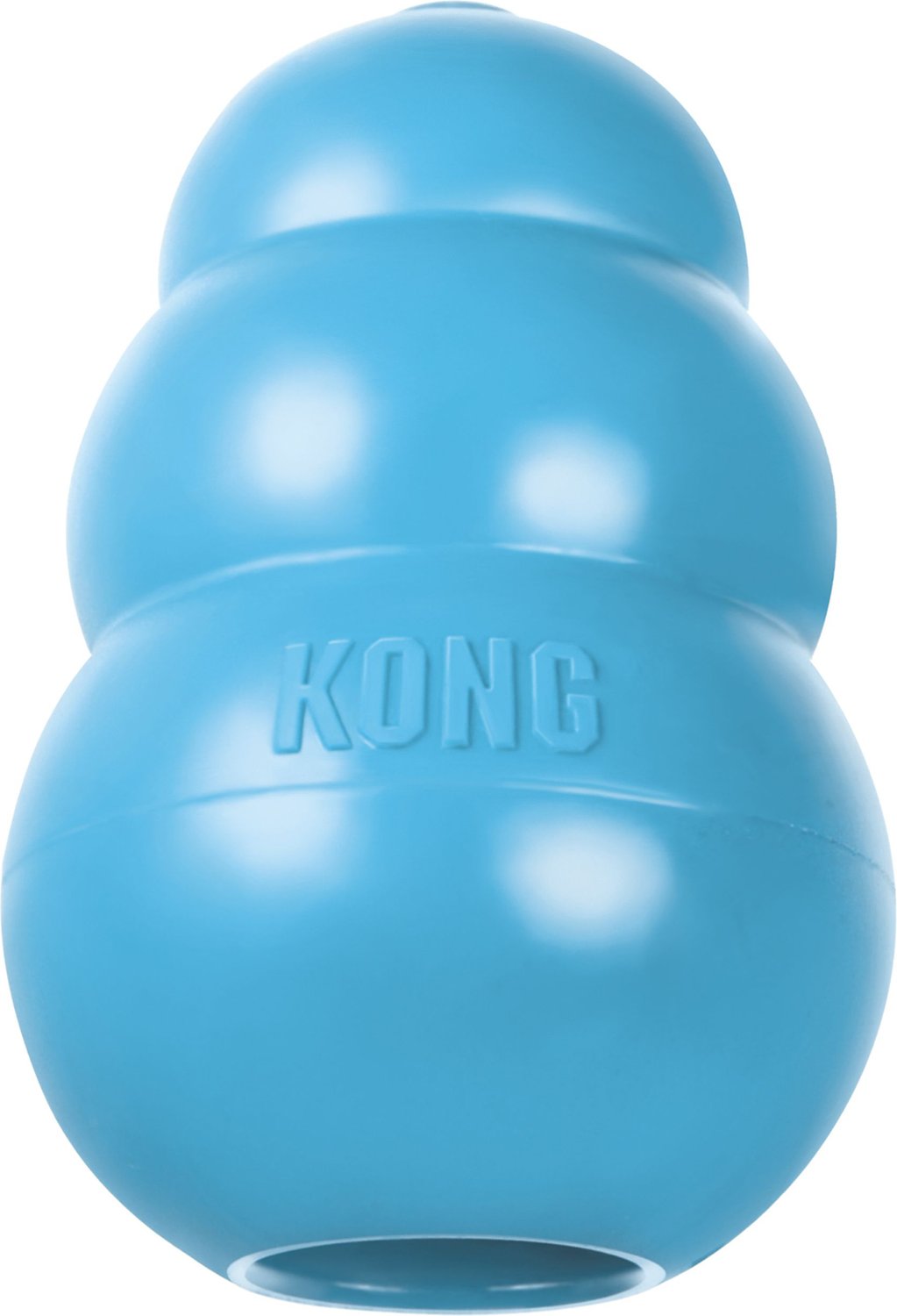 KONG Puppy Chew Dog Toy, Blue, Small - Chewy.com