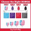 KONG Puppy Chew Dog Toy, Blue, Small - Chewy.com