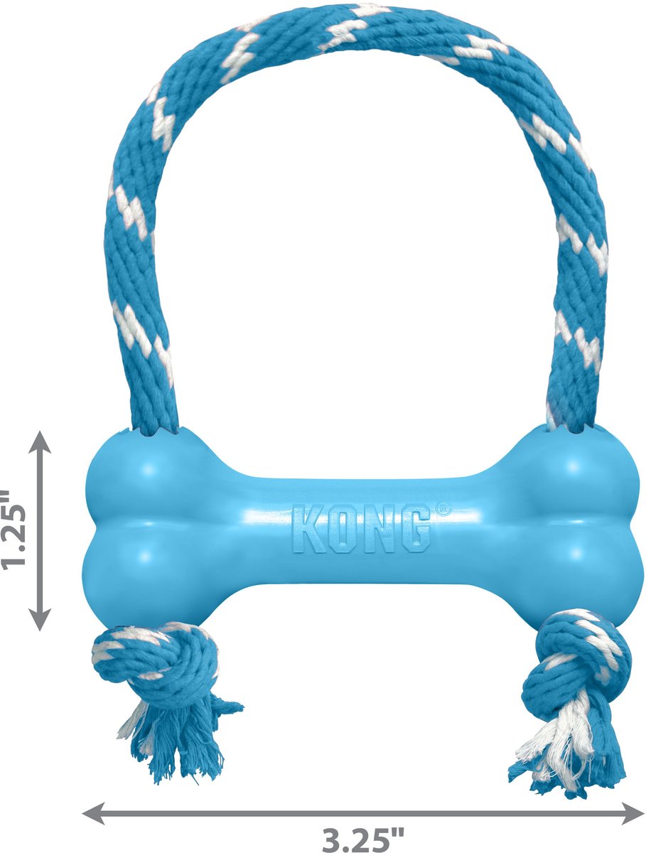 KONG Puppy Goodie Bone with Rope Dog Toy, X-Small, Blue - Chewy.com