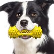 Temporarily Unavailable - HANAMYA Bone-Shaped Toothbrush Dog Chew Toy ...