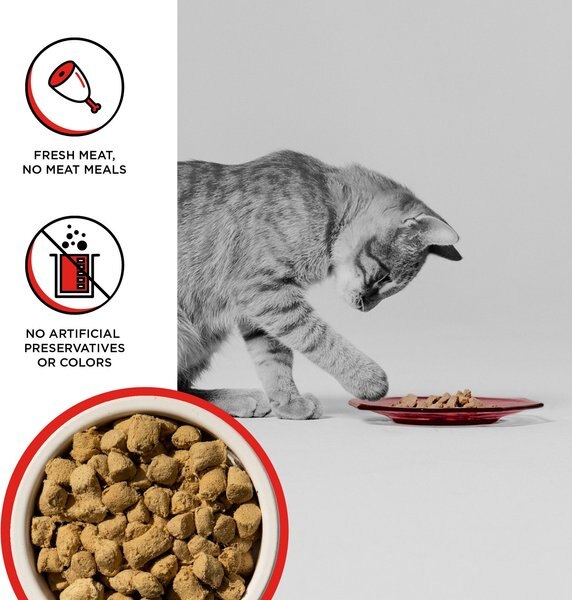 BIXBI RAWBBLE Beef Recipe Grain-Free Freeze-Dried Cat Food, 3.5-oz bag ...