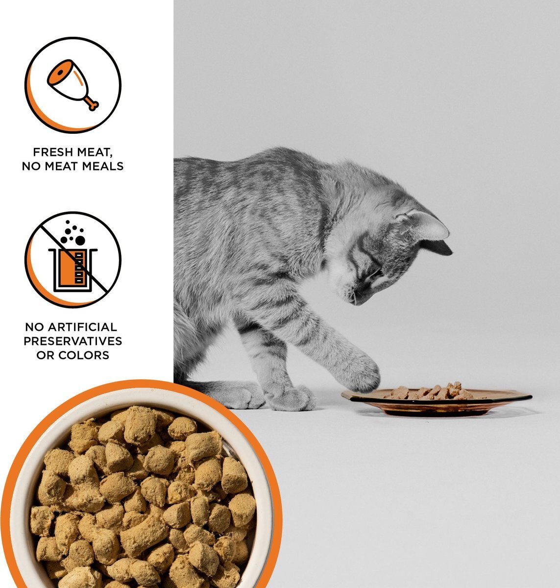 Out of Stock - BIXBI RAWBBLE Chicken Recipe Grain-Free Freeze-Dried Cat ...