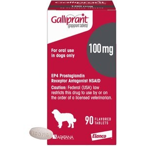 GALLIPRANT (grapiprant) Tablets for Dogs, 100-mg, 90 tablets - Chewy.com