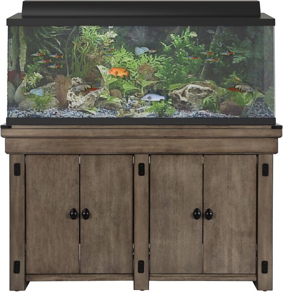 Temporarily Unavailable - FLIPPER BY OLLIE AND HUTCH Neptune Fish ...