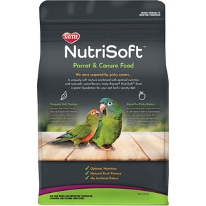 10 Best Conure Foods 2024: According to Reviews | Chewy