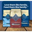 BLUE BUFFALO Life Protection Formula Adult Beef & Brown Rice Recipe Dry ...