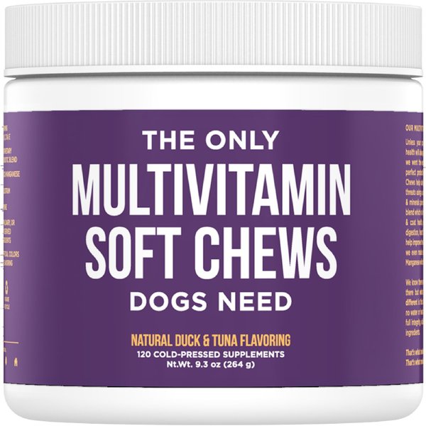 NATURVET All-in-One Soft Chews Multivitamin for Dogs, 240 count - Chewy.com