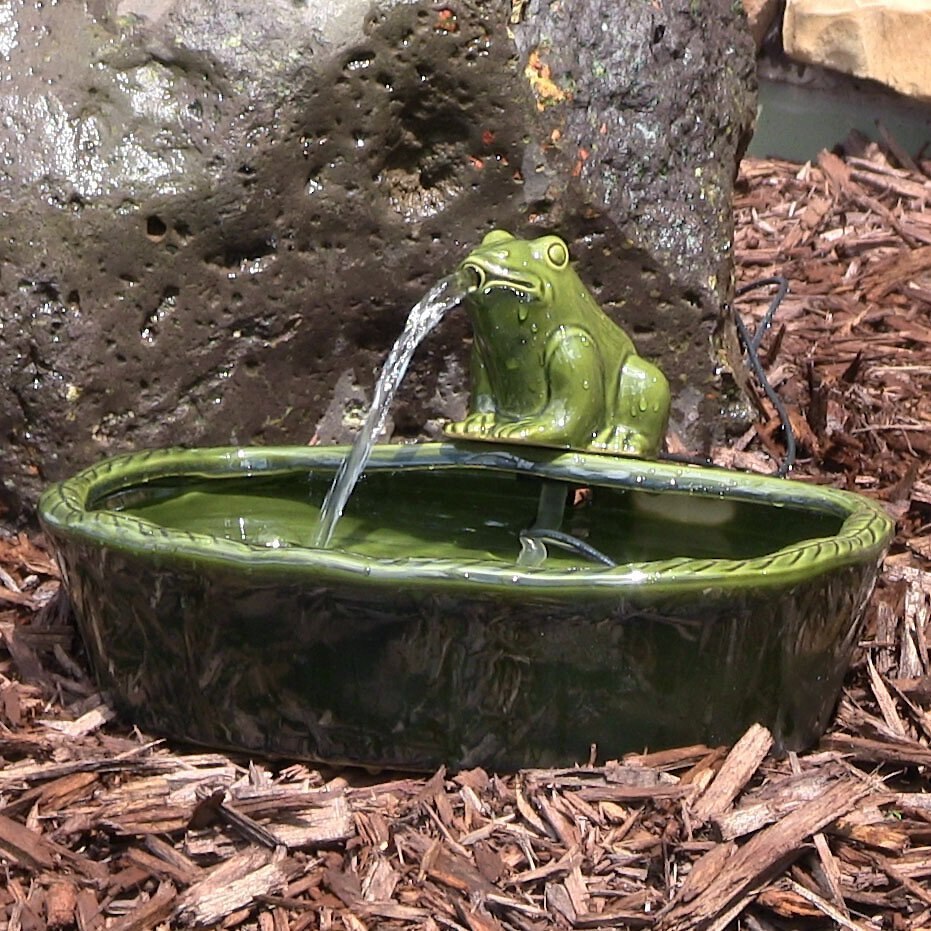 SUNNYDAZE DECOR Ceramic Solar Frog Outdoor Water Fountain - Chewy.com