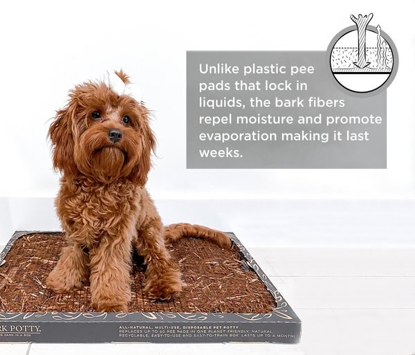 BARK POTTY Natural Disposable Dog Potty Pad, 16x24-in - Chewy.com