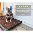 BARK POTTY Natural Disposable Dog Potty Pad, 16x24-in - Chewy.com
