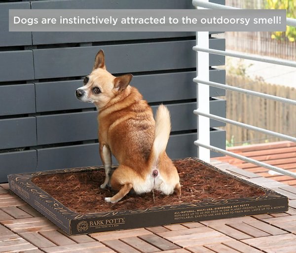 BARK POTTY Natural Disposable Dog Potty Pad, 20x30-in - Chewy.com