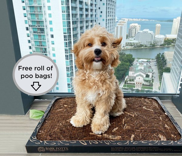 BARK POTTY Natural Disposable Dog Potty Pad, 20x30-in - Chewy.com