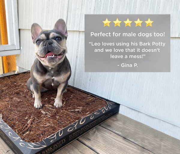 BARK POTTY Natural Disposable Dog Potty Pad, 20x30-in - Chewy.com