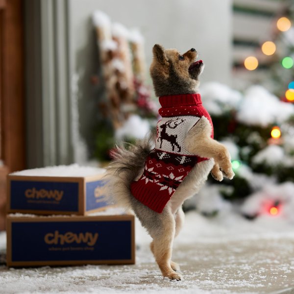 Discontinued - FRISCO Fair Isle Moose Dog & Cat Sweater, Red, Medium ...