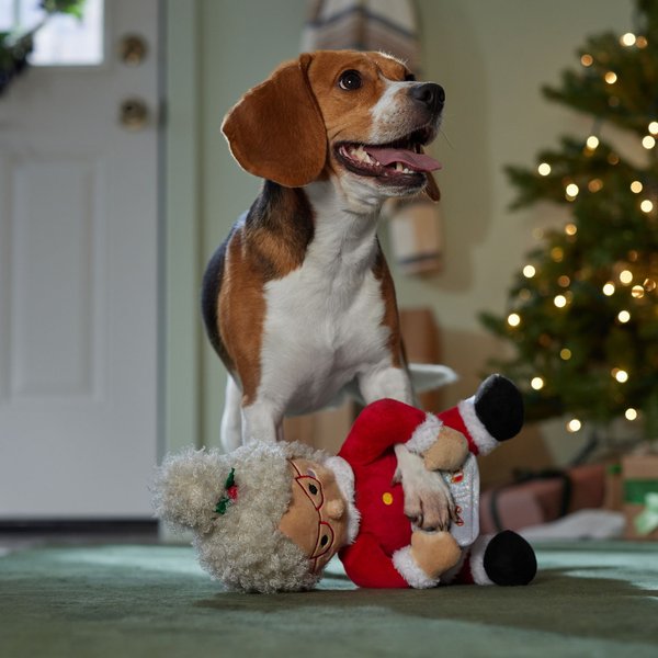 Temporarily Unavailable - FRISCO Holiday Mrs. Claus Plush Squeaky Dog ...