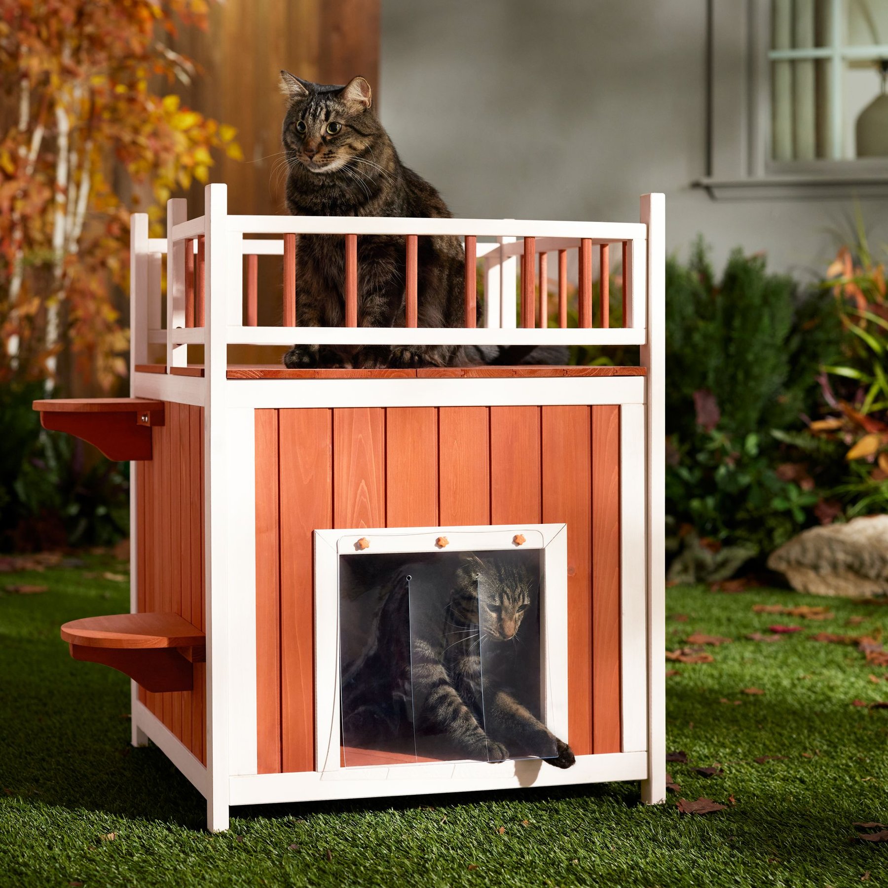 FRISCO Outdoor Wooden Cat House with Elevated Balcony Steps, Large ...