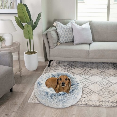 BLUE CAT BEDS (Free Shipping) | Chewy