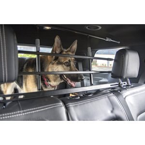 8 Best Dog Car Barriers 2024: According to Reviews | Chewy