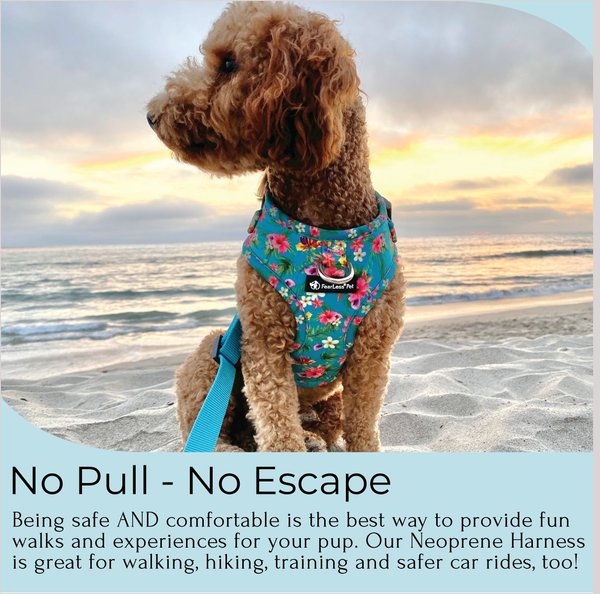 FEARLESS PET Adjustable No Pull No Escape Neoprene Dog Harness, Teal ...