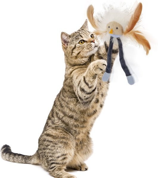 PETLINKS Leggy Loon Catnip & Silvervine Dangler Feather Cat Toy ...