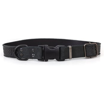QUICK RELEASE DOG COLLARS (Free Shipping) | Chewy
