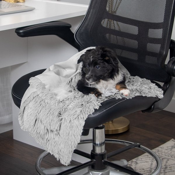 ETHICAL PET Snuggler Patterned Dog Blanket, Chocolate, 40-in - Chewy.com