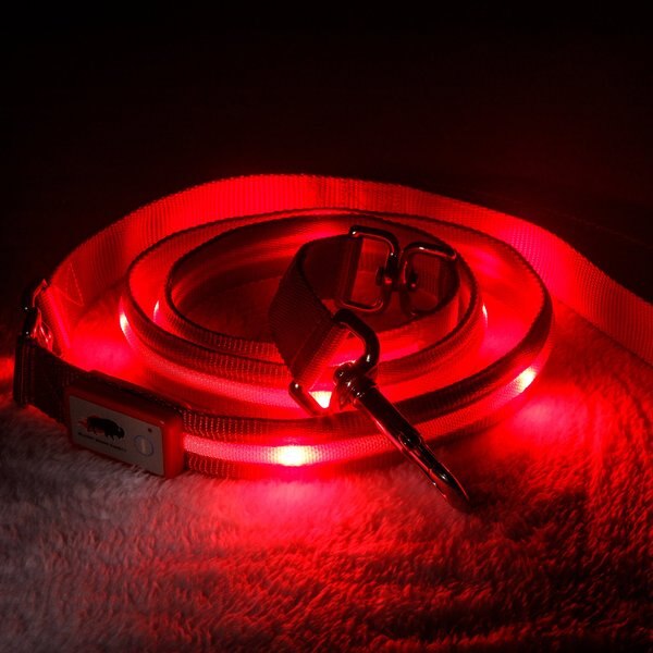 BLAZIN LED Dog Leash, Red, Large - Chewy.com