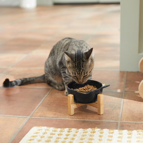 FRISCO Cat Face Elevated Bamboo Non-Skid Ceramic Cat Bowl, Black, 1 Cup ...
