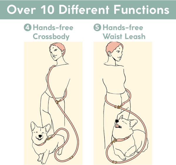 AWOO Infinity Standard Dog Leash, 7-ft long, Olive - Chewy.com