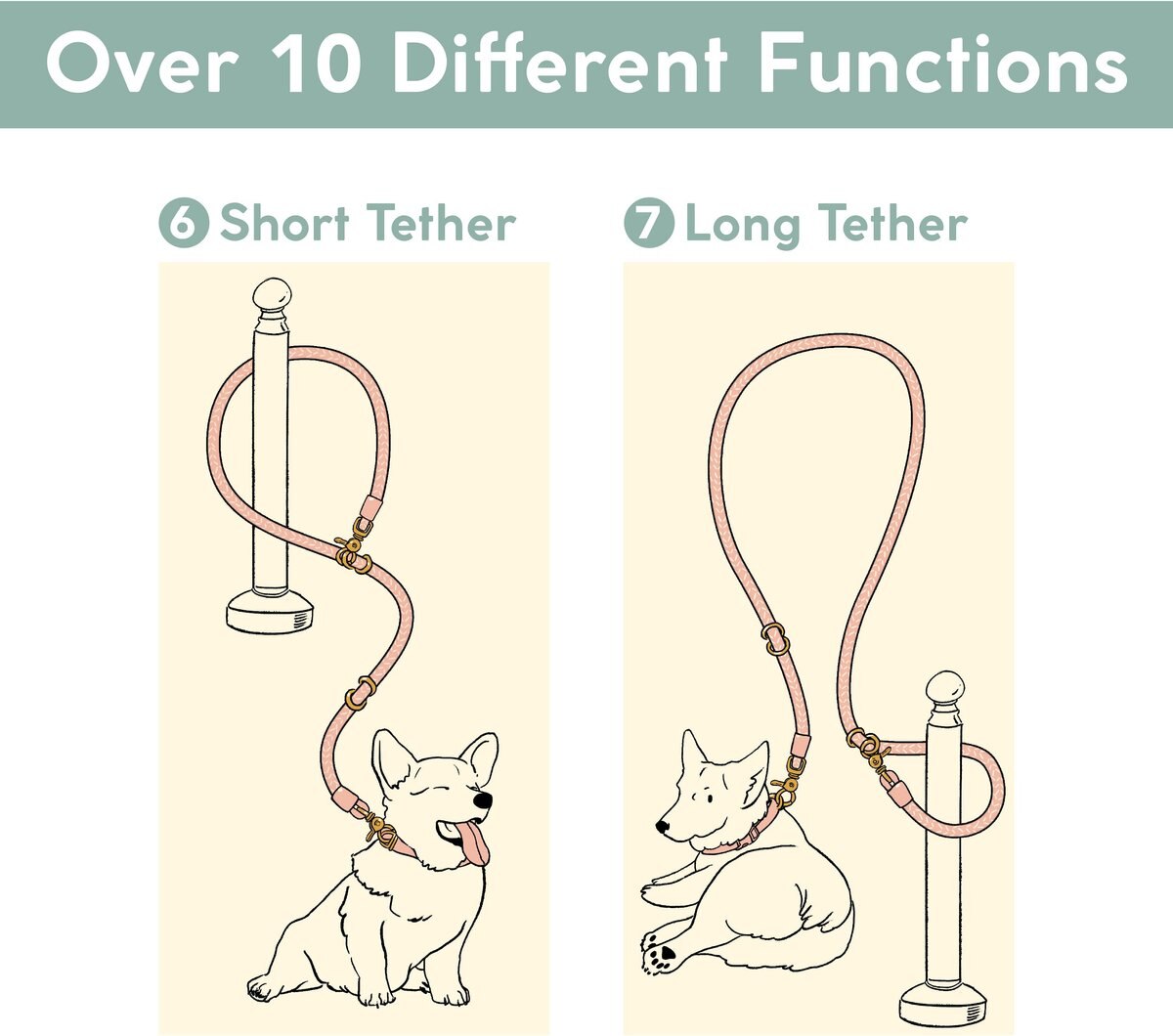 AWOO Infinity Standard Dog Leash, 7-ft long, Olive - Chewy.com