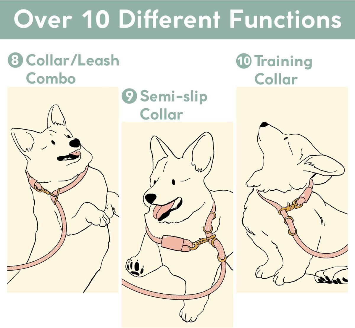 AWOO Infinity Standard Dog Leash, 7-ft long, Olive - Chewy.com