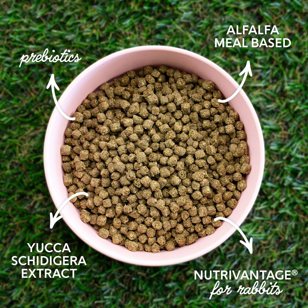 KENT / BLUE SEAL Home Fresh Show Hutch Deluxe 17 Small Animal Food, 20 ...