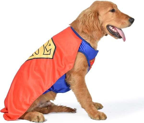 Out of Stock - FETCH FOR PETS DC Comics Halloween Superman Dog Costume ...