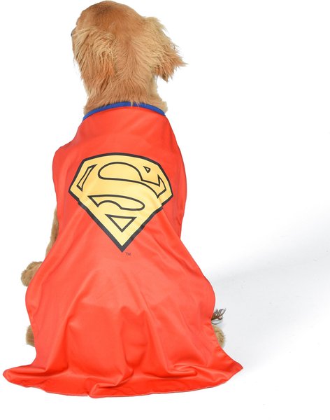 Out of Stock - FETCH FOR PETS DC Comics Halloween Superman Dog Costume ...