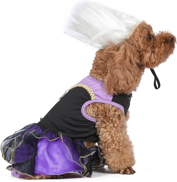 Temporarily Unavailable - FETCH FOR PETS Disney Villains Halloween ...