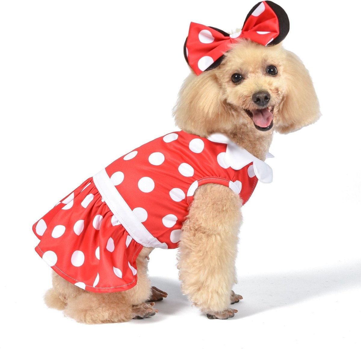 Temporarily Unavailable - FETCH FOR PETS Disney Halloween Minnie Mouse ...