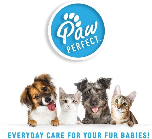 PAWPERFECT Cat & Dog Water Fountain, White - Chewy.com