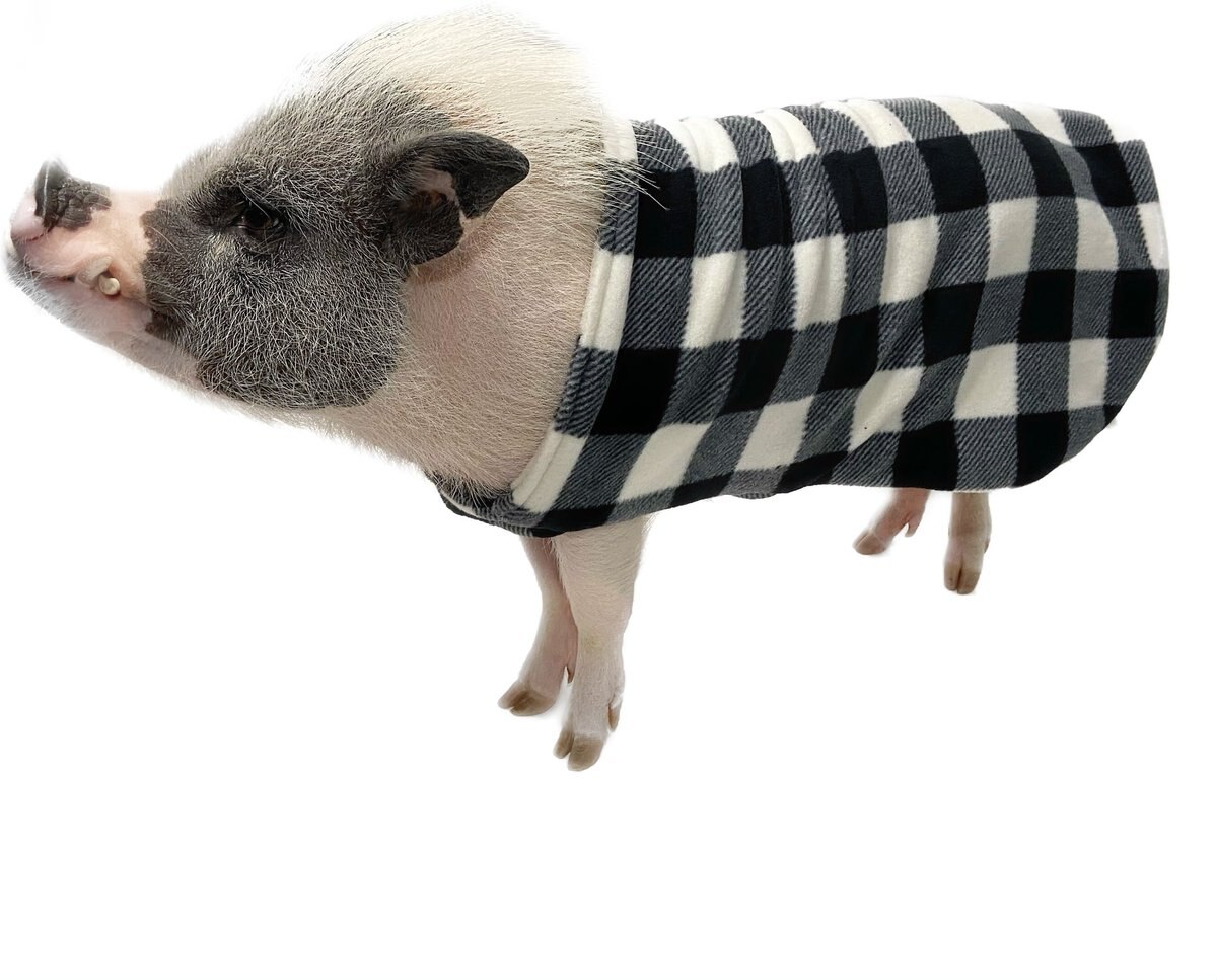 Discontinued - MORTY'S PIG CLOTHES Fleece Strap Pig Sweater, White ...