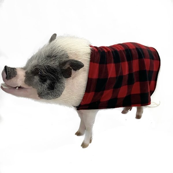 Discontinued - MORTY'S PIG CLOTHES Easy-on Elastic Fleece Cloak Dog ...