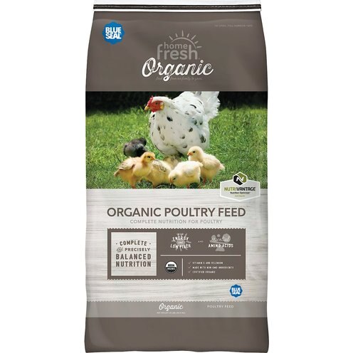 Red Hen Chicken Feed (Free Shipping) | Chewy