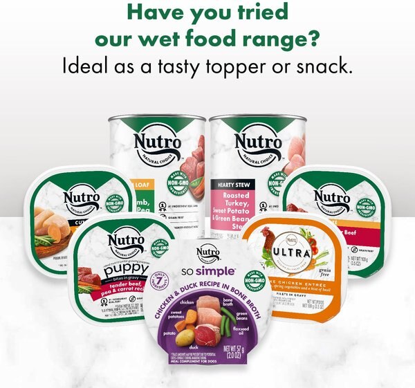 Out of Stock - NUTRO SO SIMPLE Adult Beef & Rice Recipe Natural Dry Dog ...