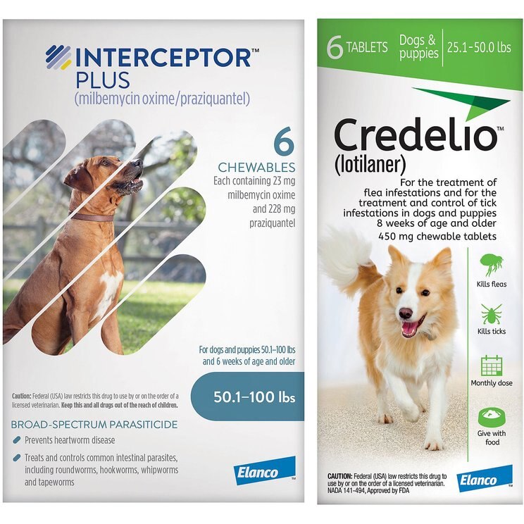 Credelio - Free shipping | Chewy