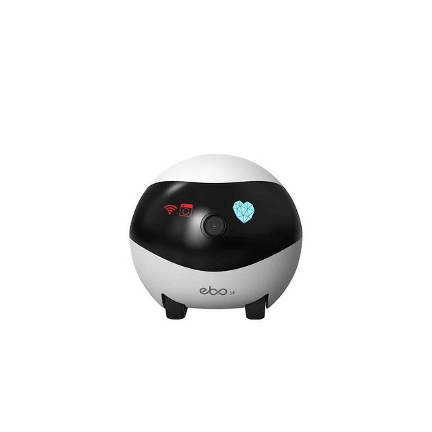 ENABOT EBO SE Automatic Smart Robot Camera - Chewy.com