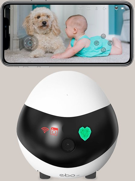 Out of Stock - ENABOT EBO SE Automatic Smart Robot Camera - Chewy.com