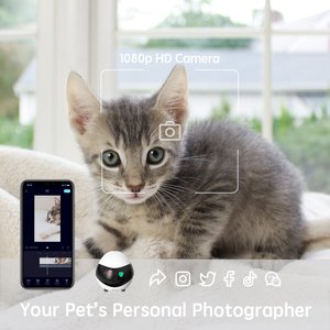 10 Best Dog Cameras & Monitors 2025: According to Reviews | Chewy